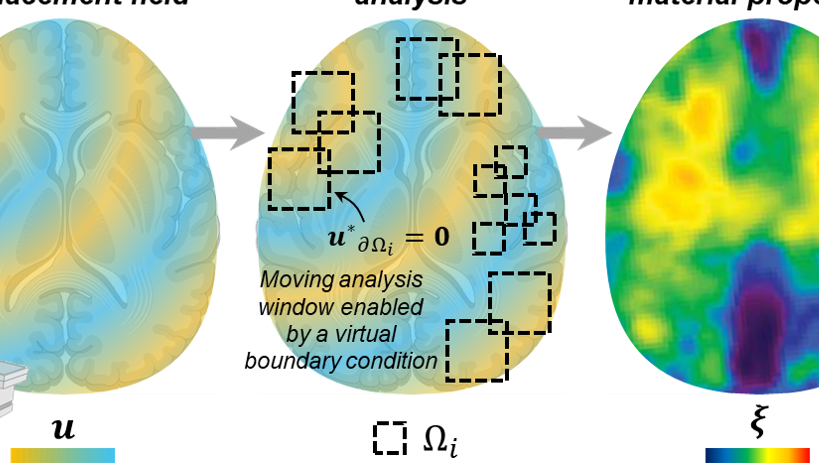 New brain modeling aims to better understand the mechanics of traumatic ...