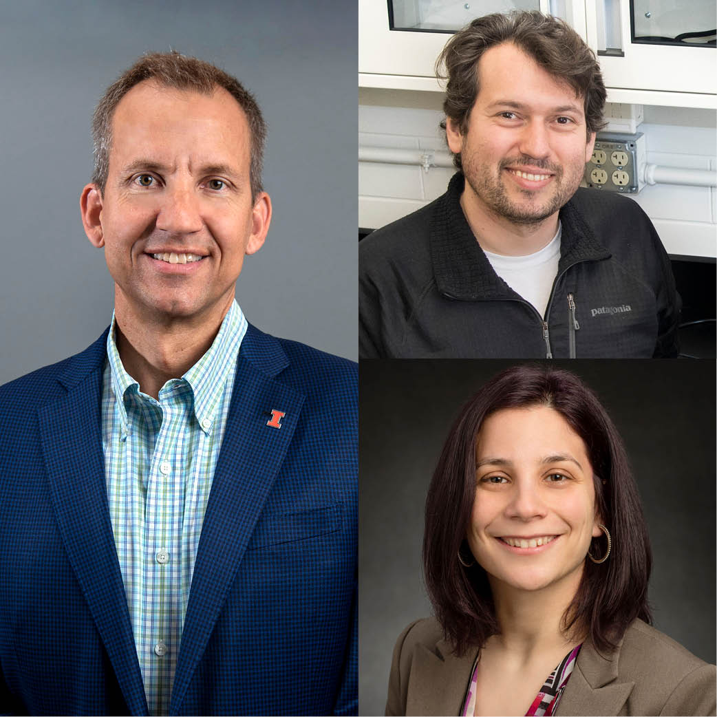 Illinois MRSEC renewed for six years, continuing vibrant materials research community ...